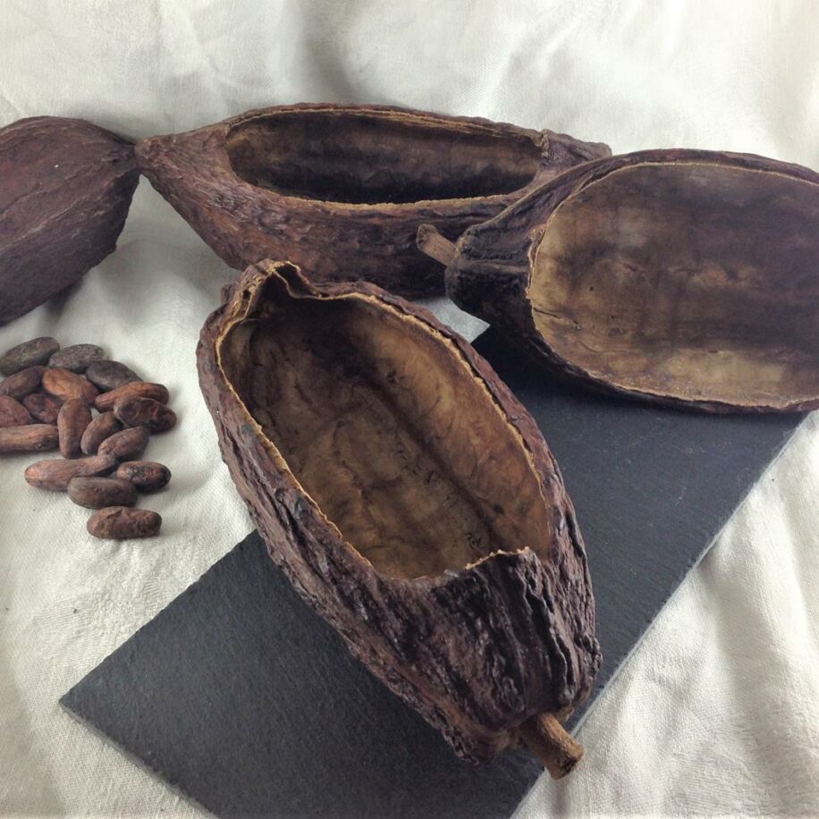 Cabosses de Cacao - Bouga Cacao
