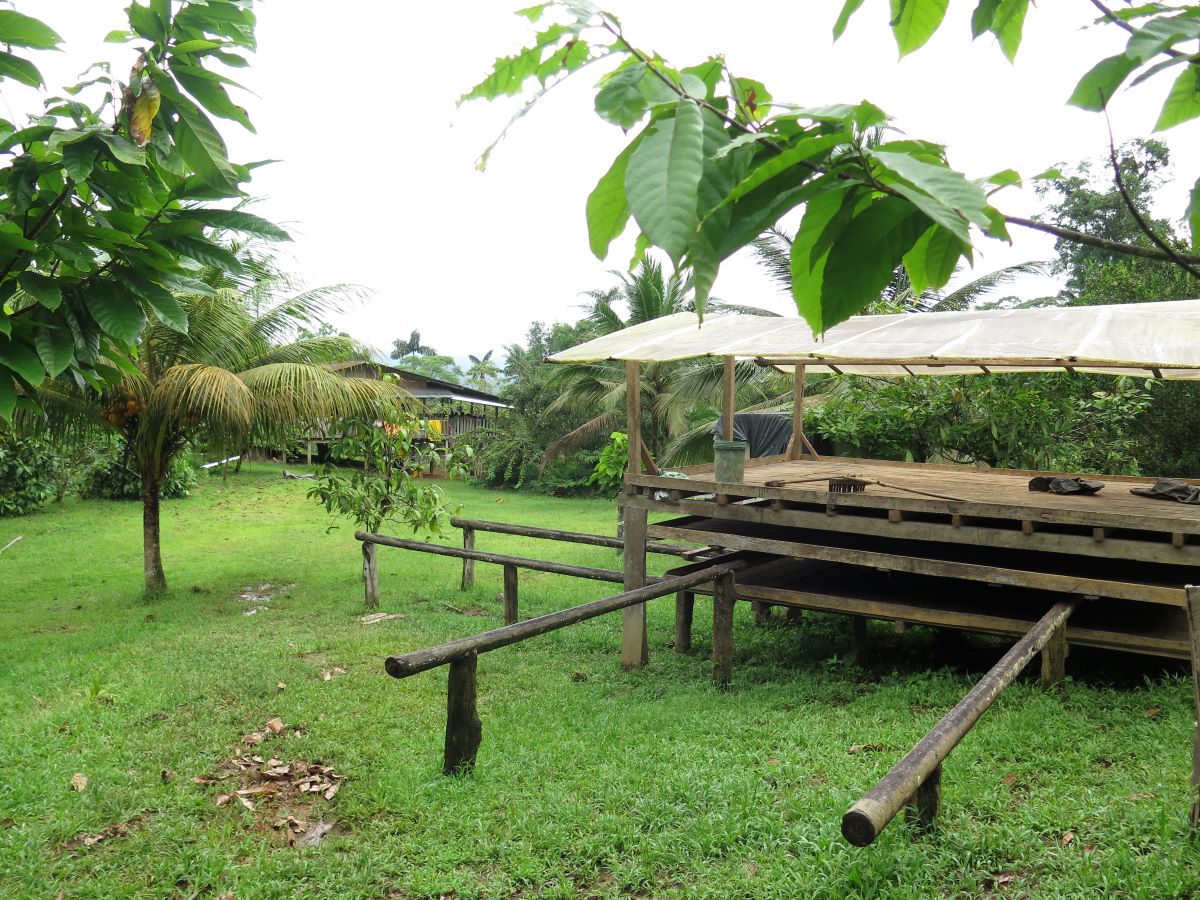 Tesoro Escondido : la coopérative ASOPROTESCO - Bouga Cacao